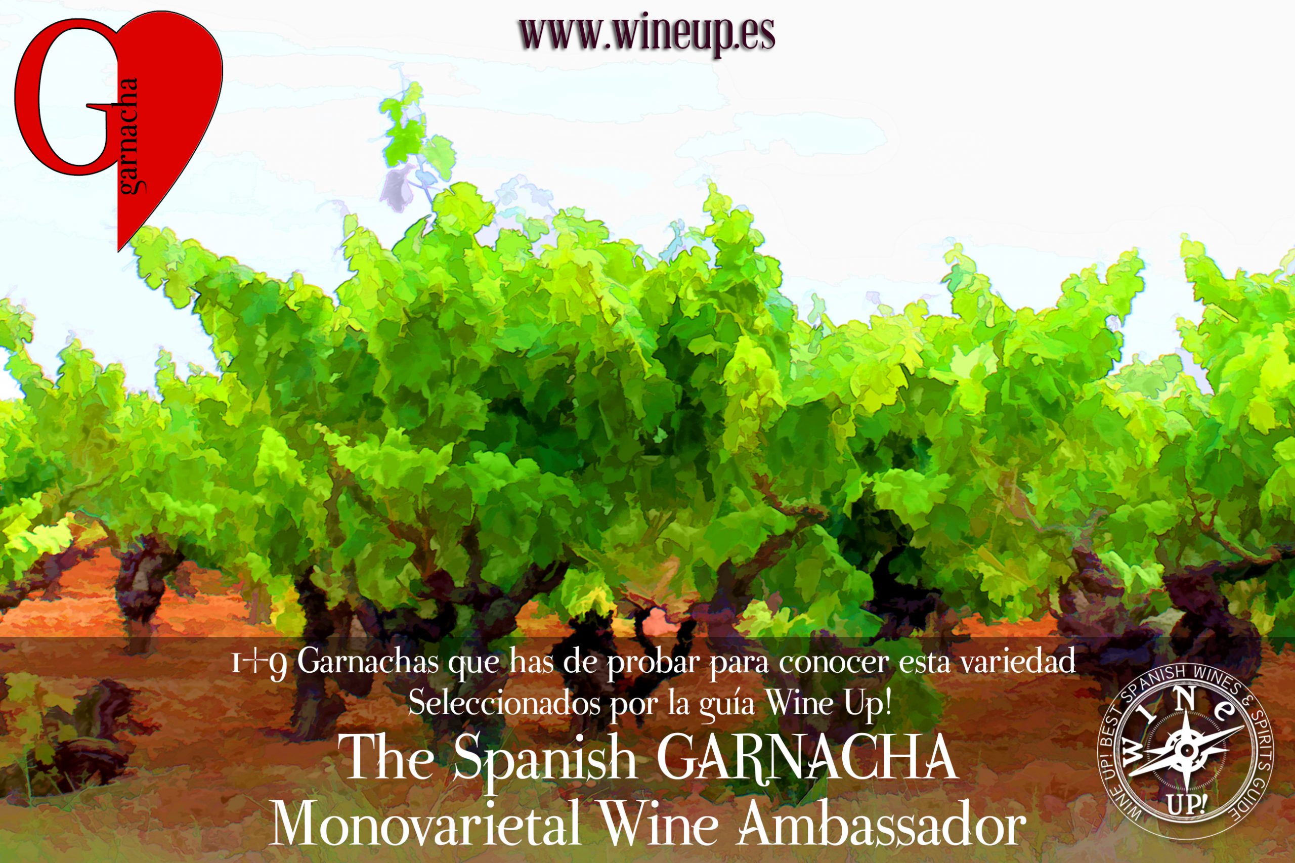 LAS 10 MEJORES GARNACHAS CALIDAD/PRECIO QUE TIENES QUE BEBER AL MENOS ...