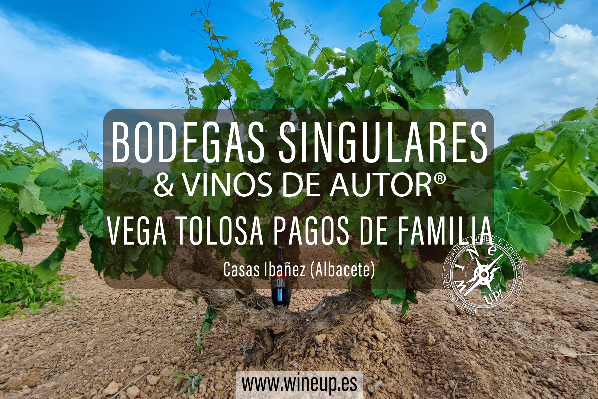 BODEGAS SINGULARES®: PAGOS DE FAMILIA VEGA TOLOSA, A LA VANGUARDIA EN ...