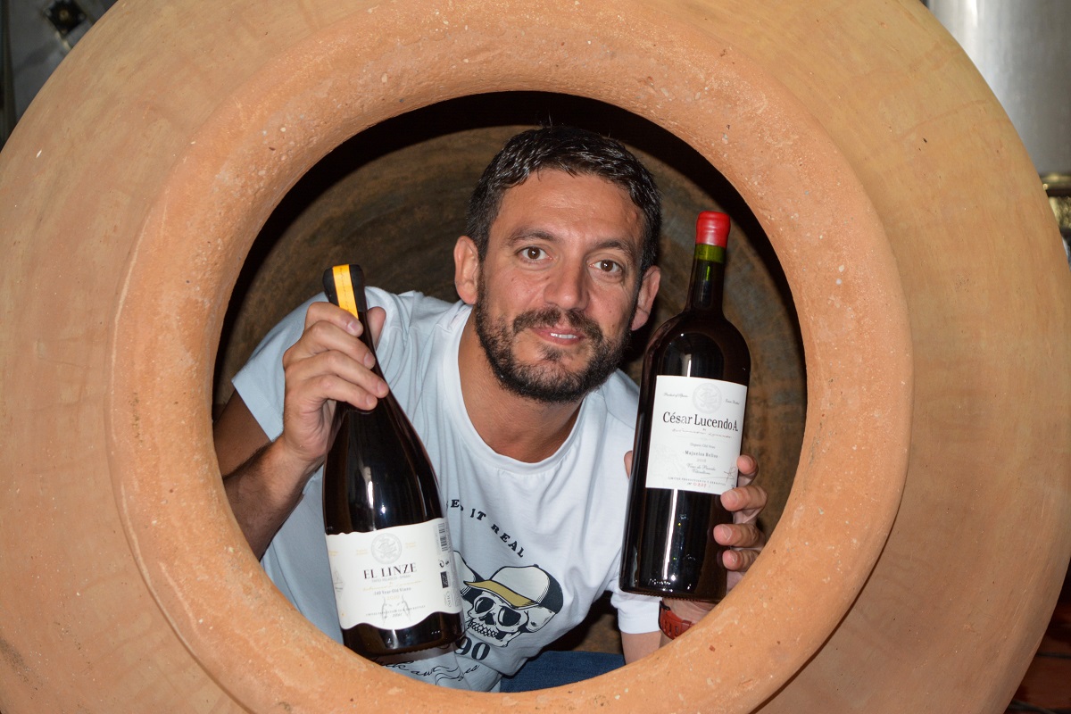 EL LINZE, MEJOR VINO ESPAÑOL Y ENTRE LOS 50 MEJORES DEL MUNDO DE LA ...