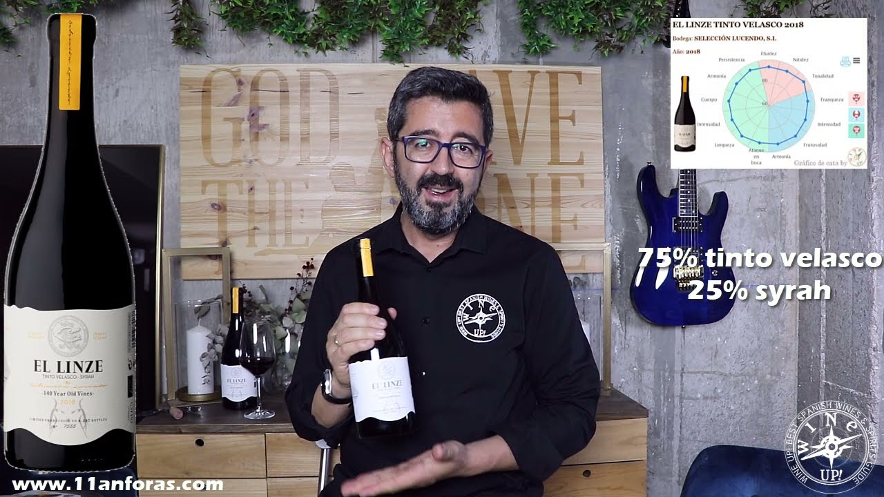VIDEOCATA DE EL LINZE 2018, MEJOR VINO DE ESPAÑA DE LA AÑADA 2018 PARA ...
